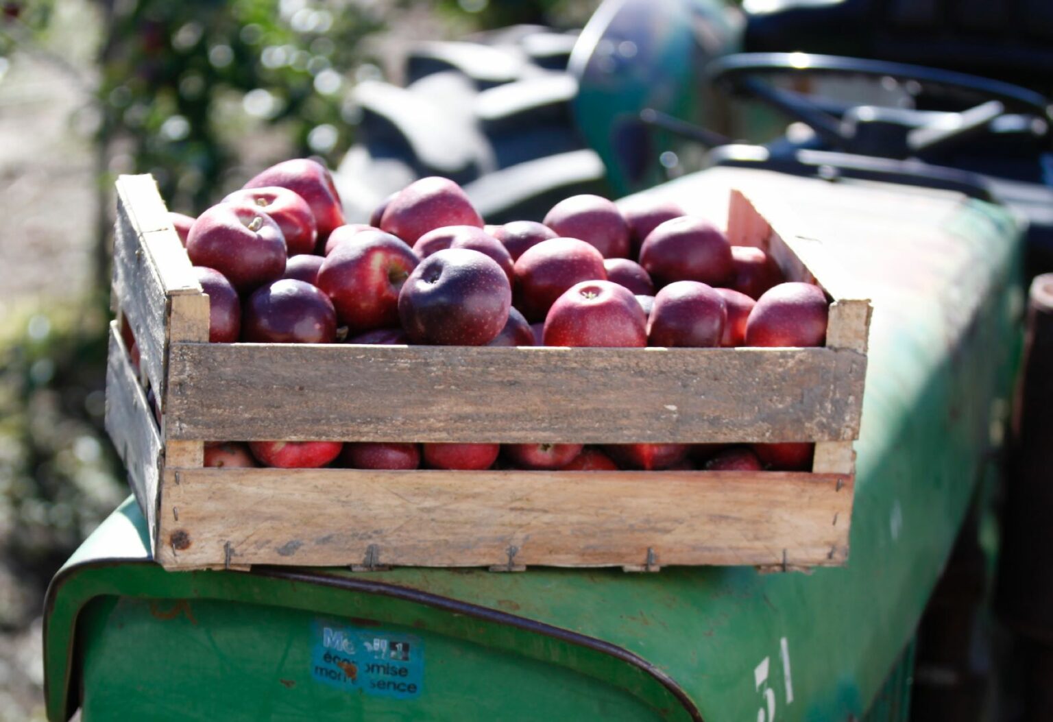 Introducing SolunaTM | Soluna Apple