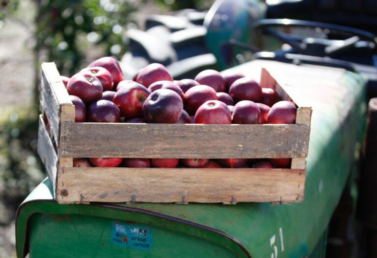 Introducing SolunaTM | Soluna Apple