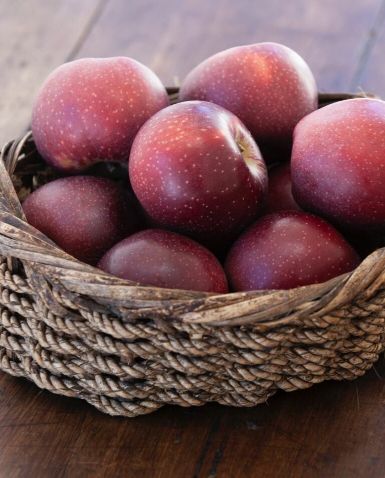 Introducing SolunaTM | Soluna Apple