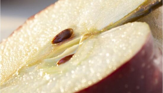 Introducing SolunaTM | Soluna Apple