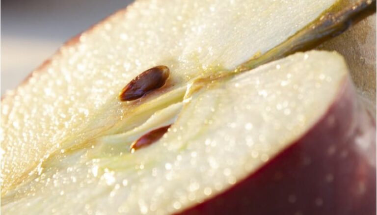 Introducing SolunaTM | Soluna Apple