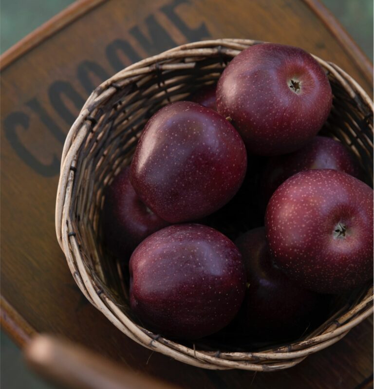 Introducing SolunaTM | Soluna Apple