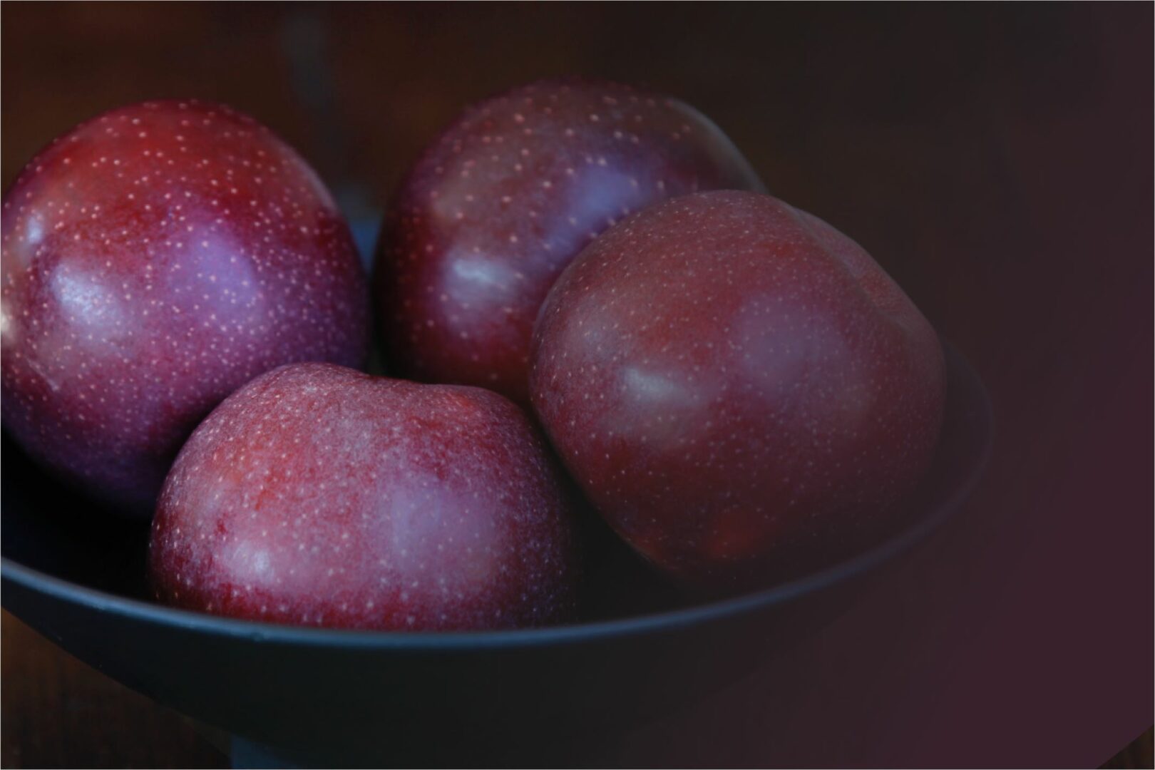 Behind Our Apple | Soluna Apple