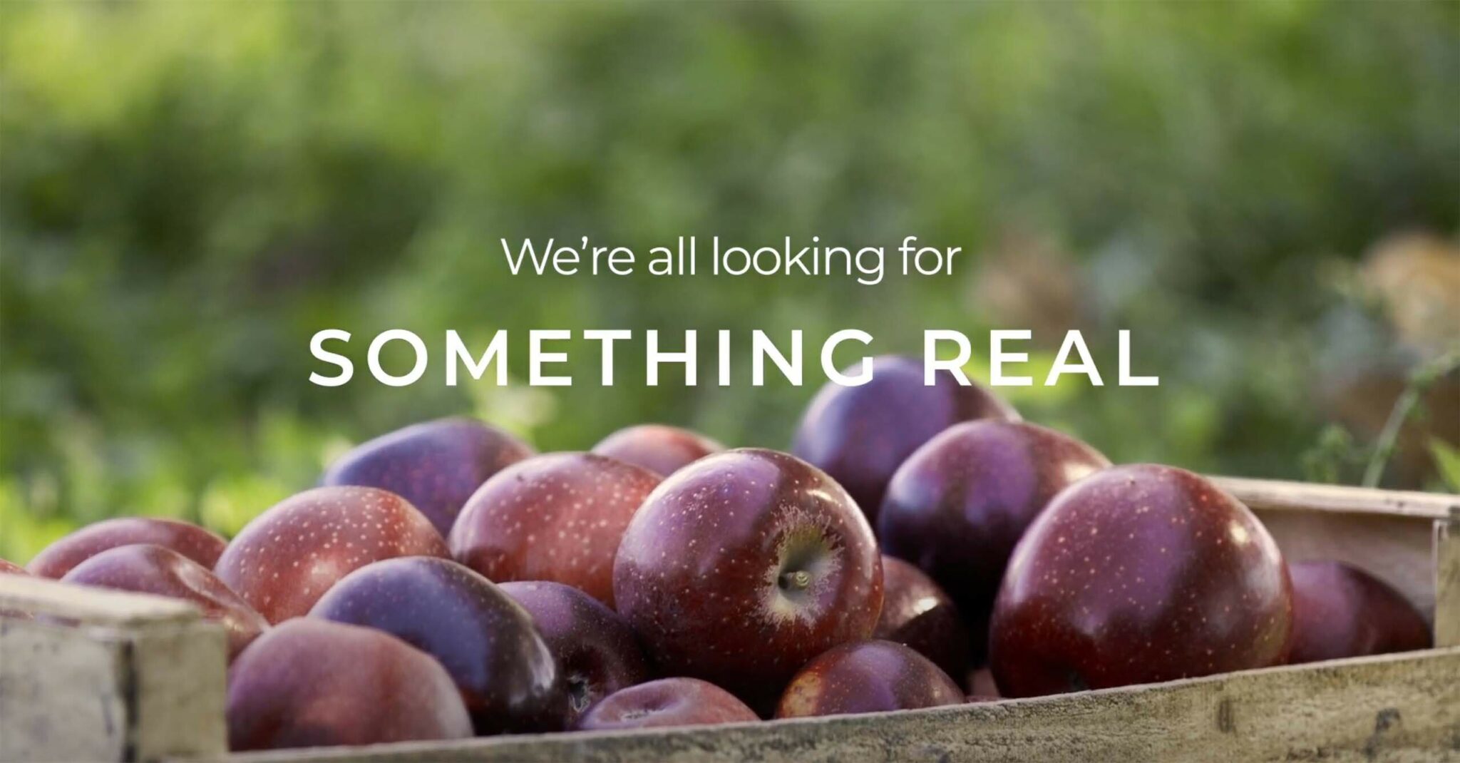 Behind Our Apple | Soluna Apple