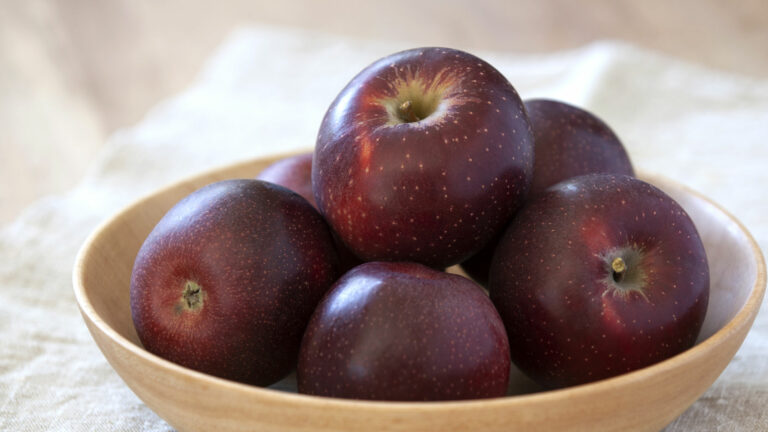 Introducing SolunaTM | Soluna Apple