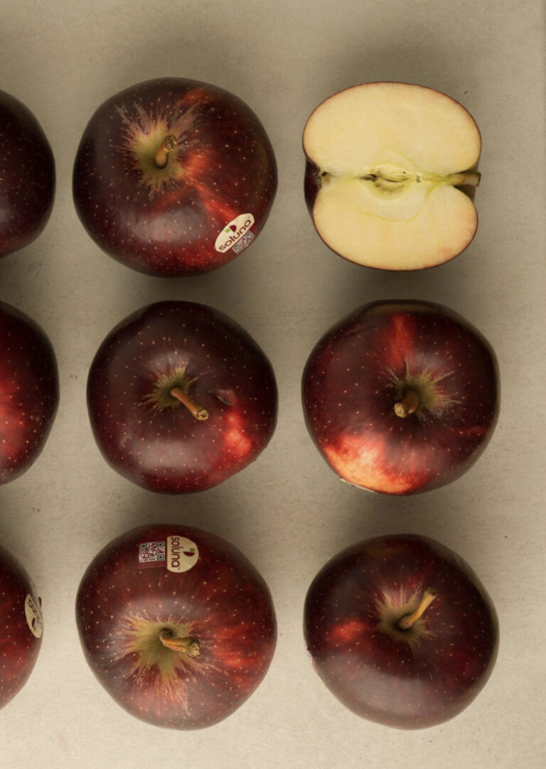 Soluna Apple | Something real